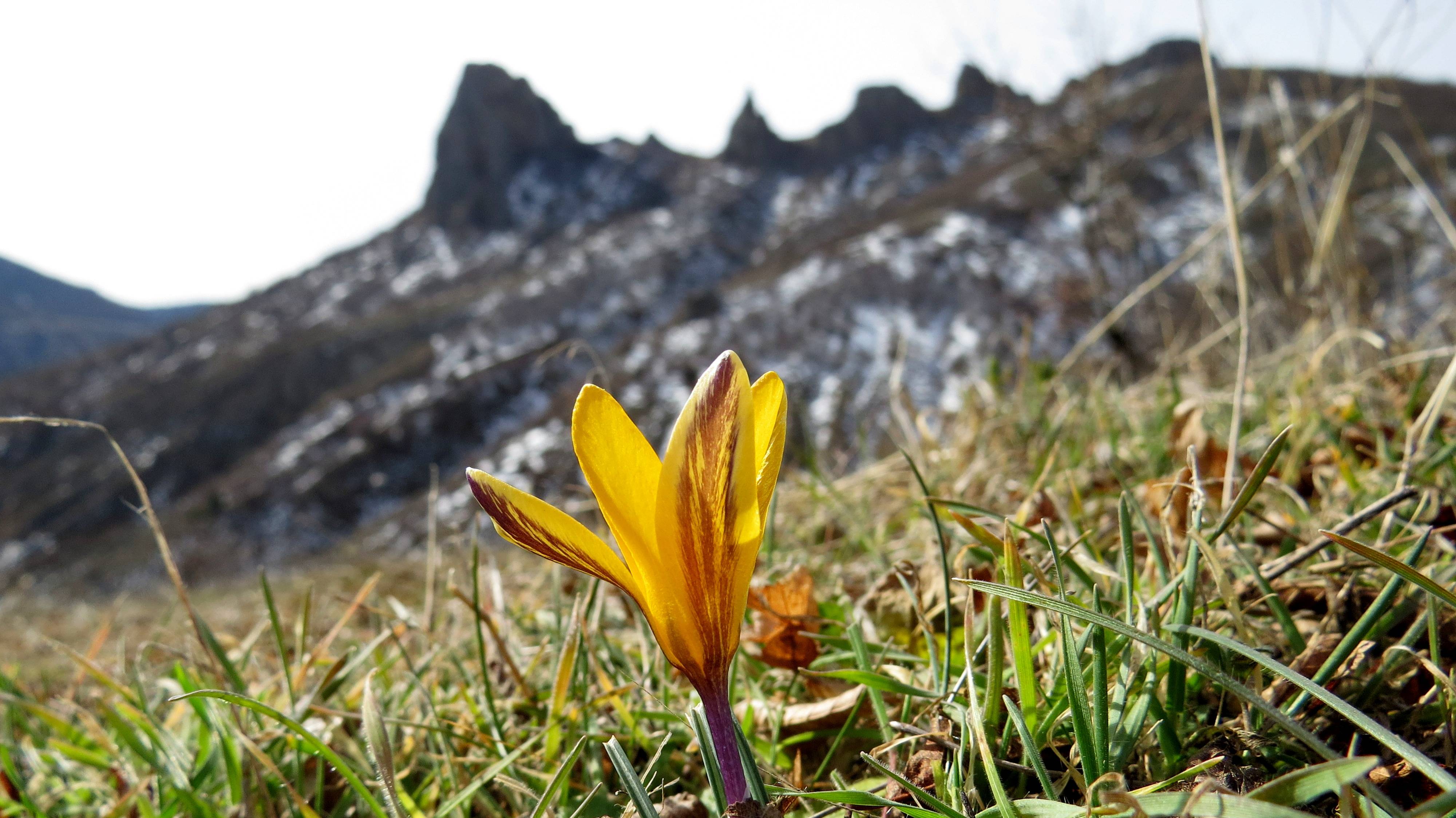 Над Междуречьем. 2 марта.