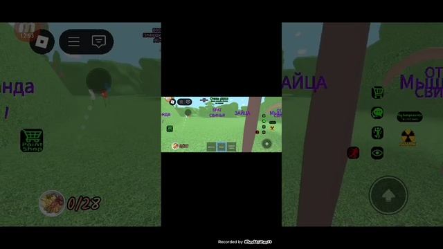 Играю в плейсы в робликсе