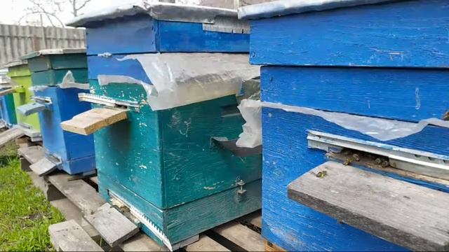 Начинается Весна, Обножку В Улик... 29 Апреля