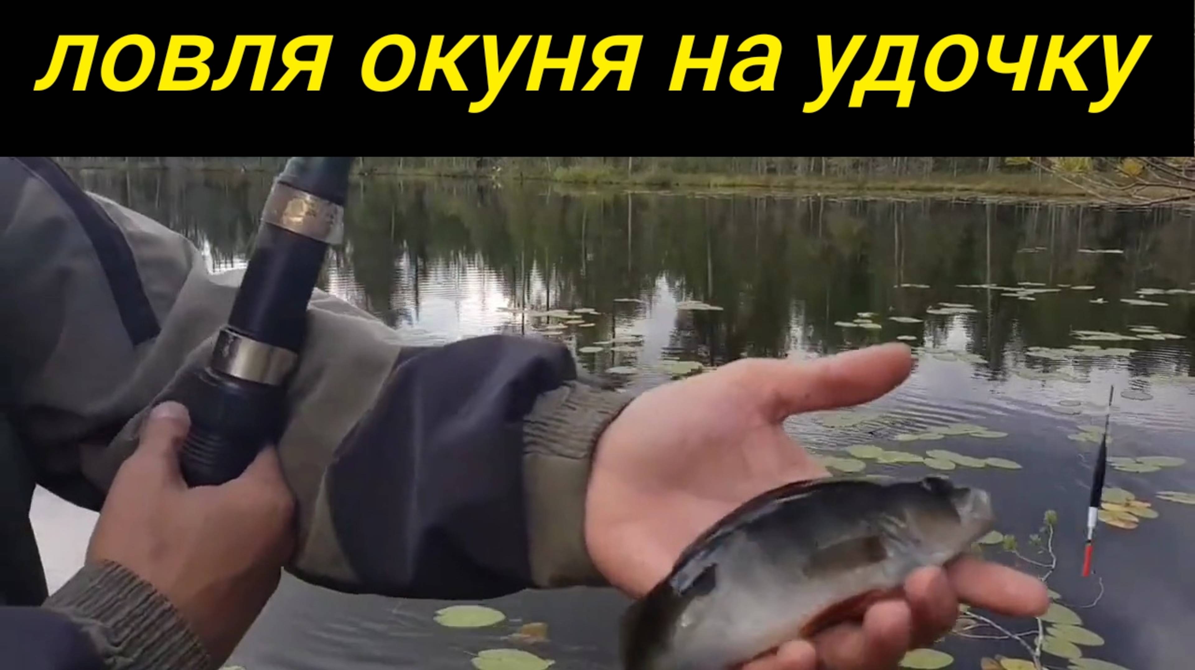 РЫБАЛКА НА ОЗЕРЕ  ЛОВИМ ОКУНЯ НА УДОЧКУ