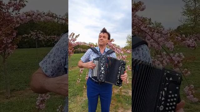 Я страдала и любила, а оказалось он ничей. Песни о любви под гармонь.