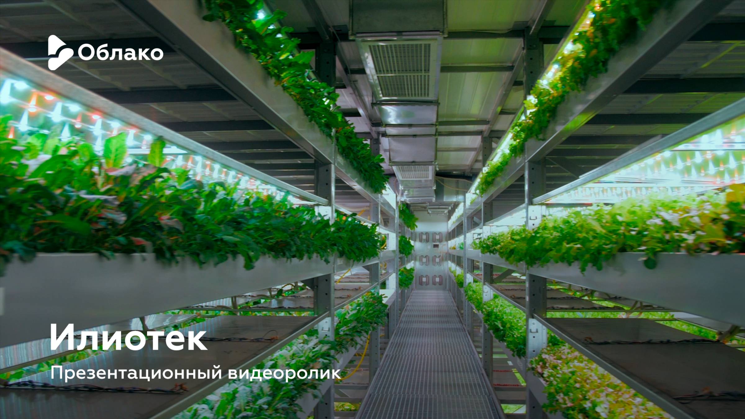 Илиотек — презентационный видеоролик