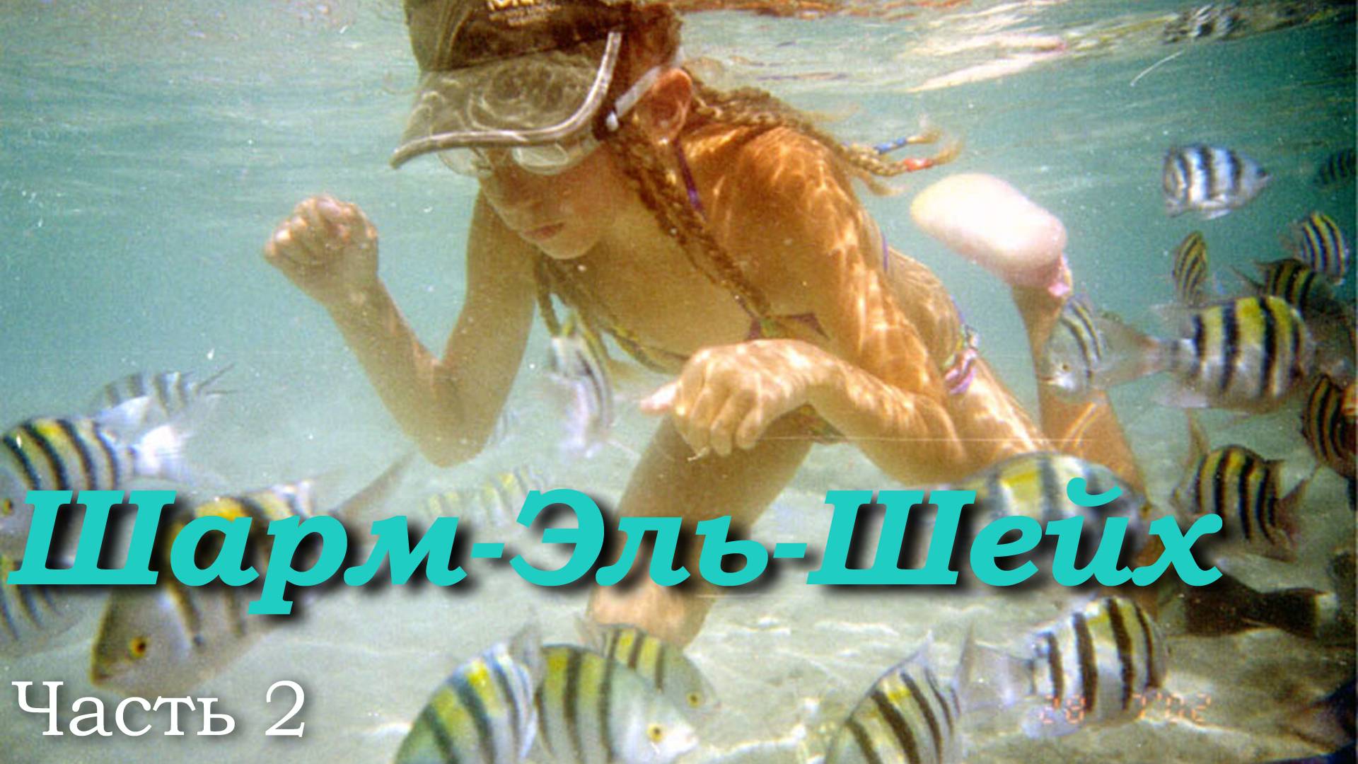 Солнечный круг. Шарм-Эль-Шейх. Водный мир.