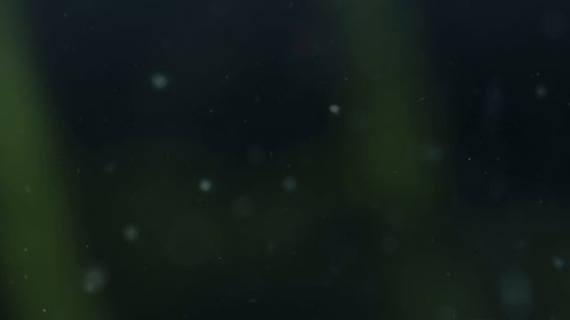 Зелёная планета 2 серия «Водные миры» (документальный сериал, 2022)