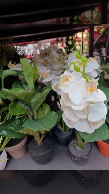 Цветочная коасота