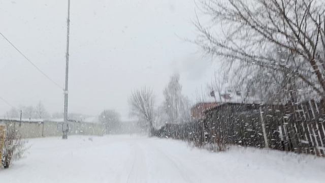 Зима не хочет сдаваться (утро 4.03.25)