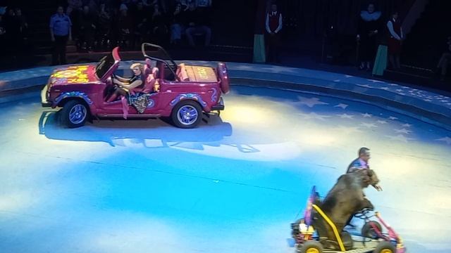 Медведь катается на велосипеде в Цирке!