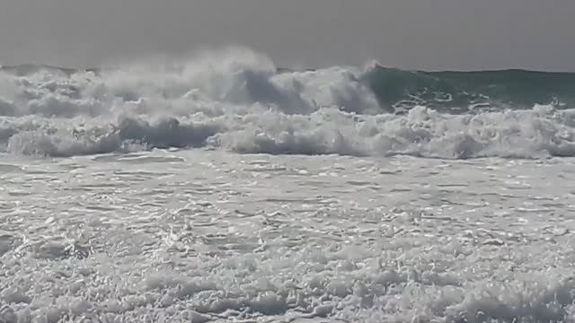 Геленджик. Большой Утриш.