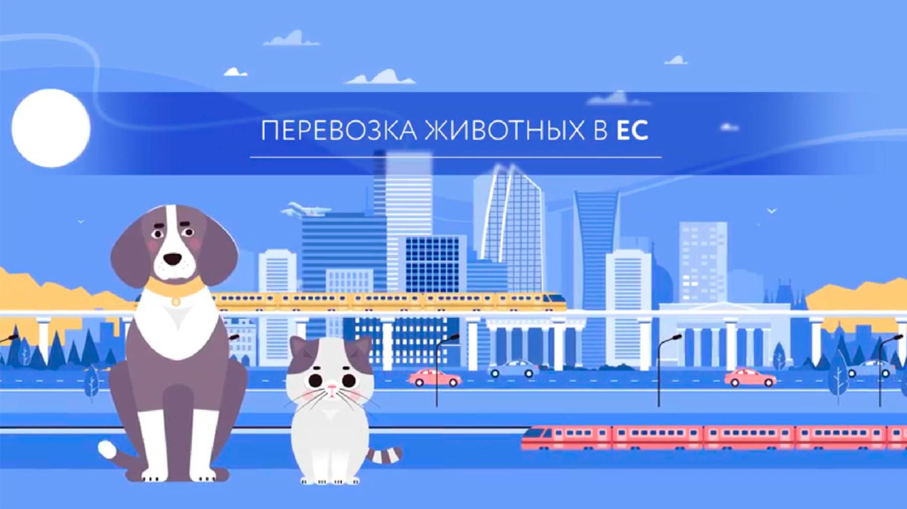 Перевозка животных в Европу