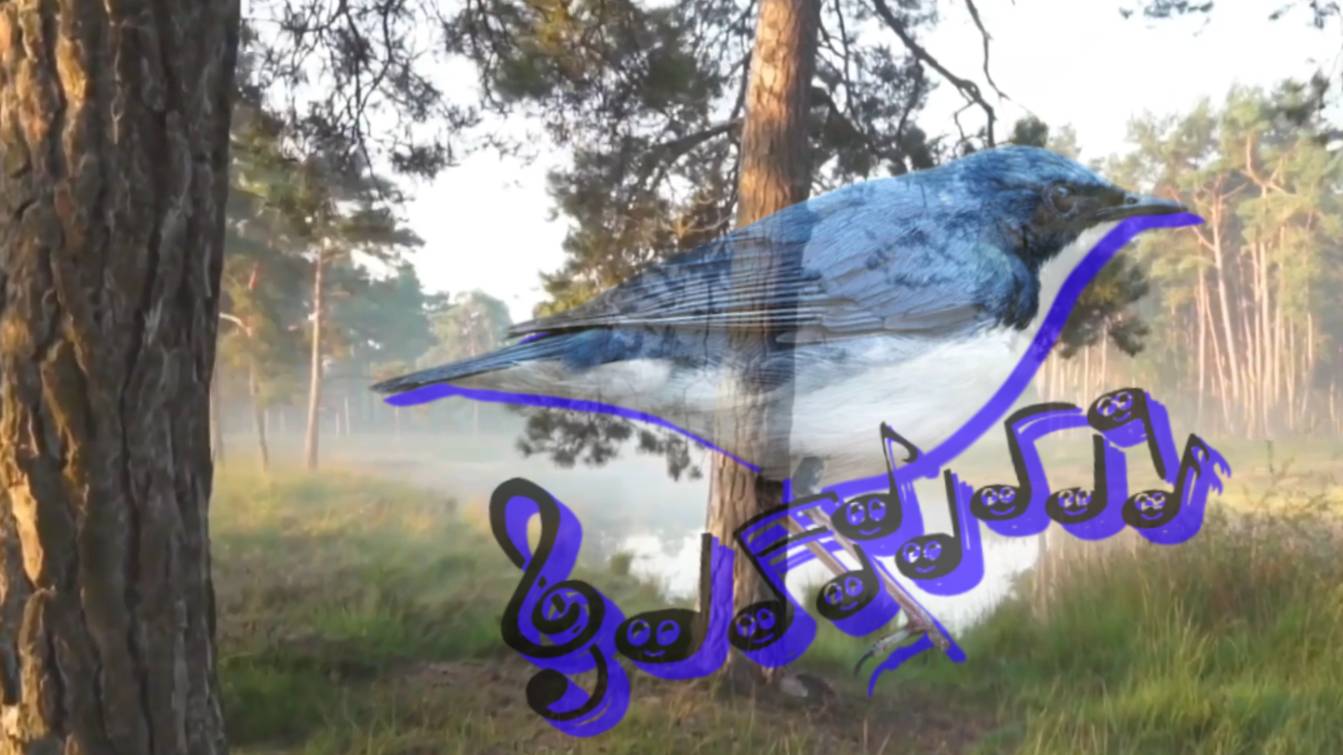 Весенний Лес, Пение птиц для сна и Прекрасная, Спокойная музыка Фортепиано для релаксации, медитации