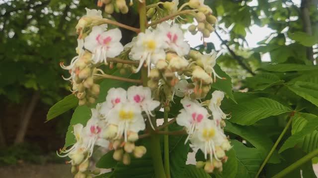 Что на пасеке. 25 апреля 2024 г.