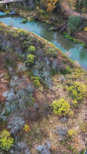 Золотая осень в России. Красота родной природы.