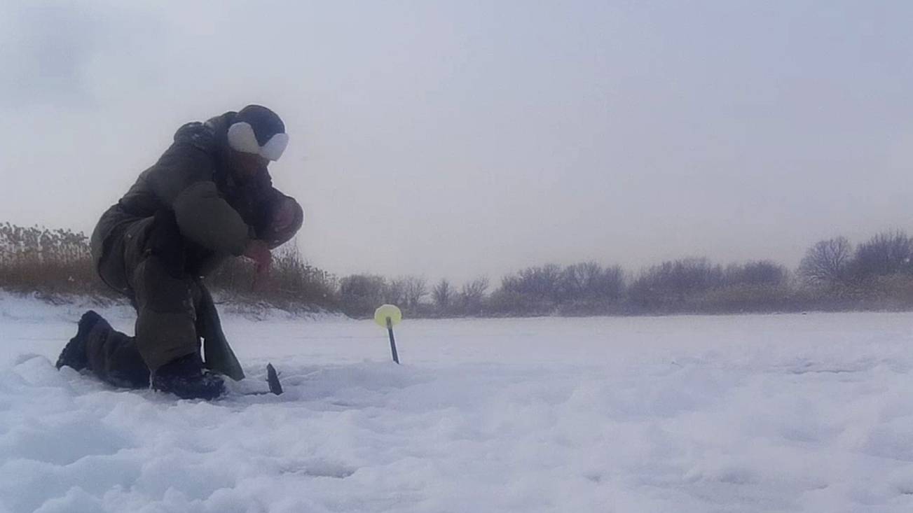 Безмотылка выручила снег и сильный ветер не помеха.