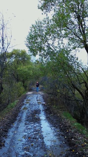 Золотая осень в России. Красота родной природы.