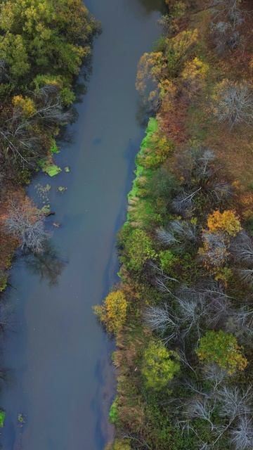 Золотая осень в России. Красота родной природы.