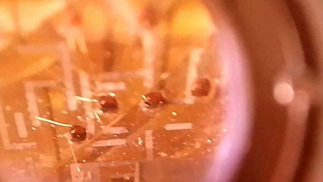 что есть в ноутбуке и микросборках