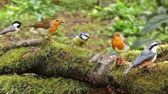 Занятие 3. Май