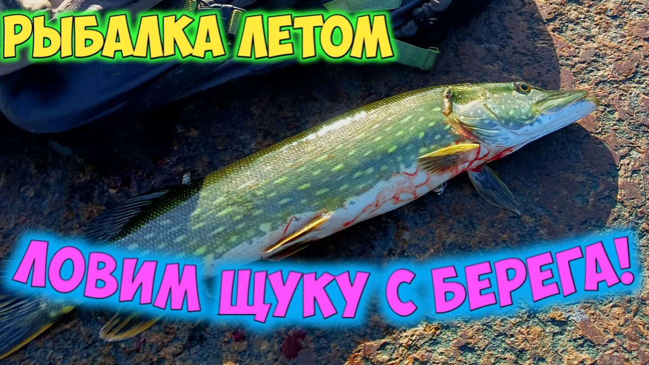 Рыбалка