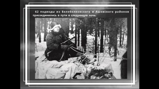 5 марта - день партизанского обоза