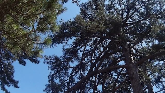 Ялта, Крым, 16