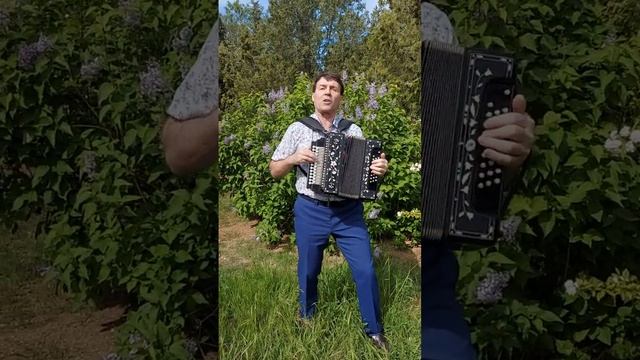 Песня хит на все времена. Никто тебя не любит так, как я. Песни под гармонь. Песни для души.