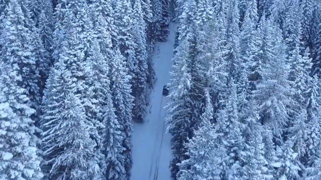'Древлегорск' 'Оять' 'Радость' 'Зима'