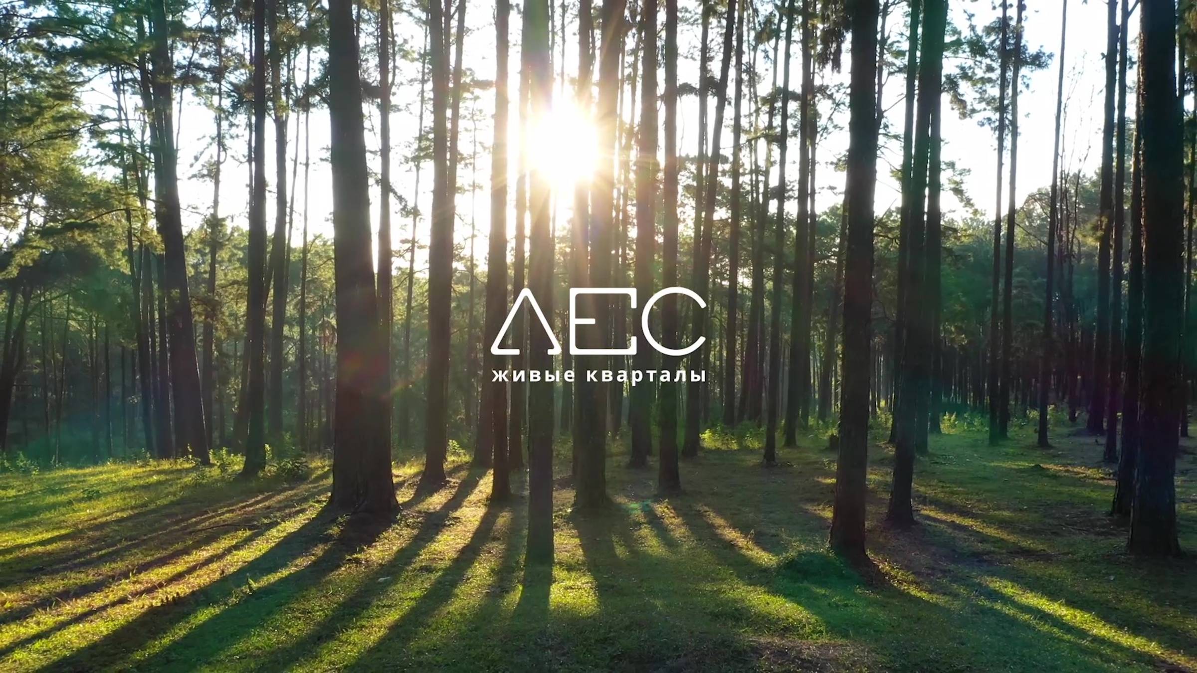 Живые кварталы ЛЕС: Любимый. Естественный. Современный | Проект компании «Железно» в Екатеринбурге