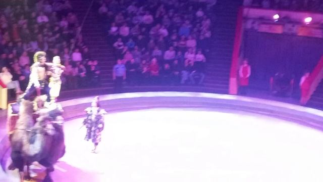 Верблюд в цирке!