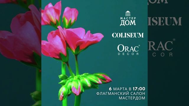 📌 Что вас ждет?