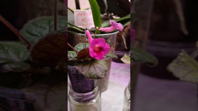 просто полюбоваться ☺