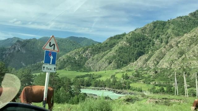 Алтай. Чемал. Поездка с собакой