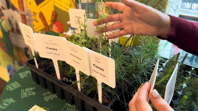 Главная конференция питомниководов - как это было, обзор и интервью участников и скульптуры  Седовой