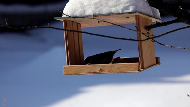 Внимательным взглядом. Выпуск 20. Сила привычки.