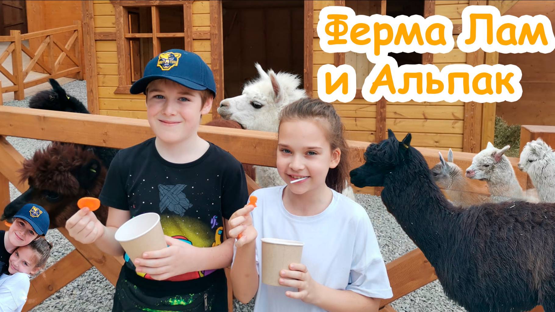 Ферма Лам и Альпак