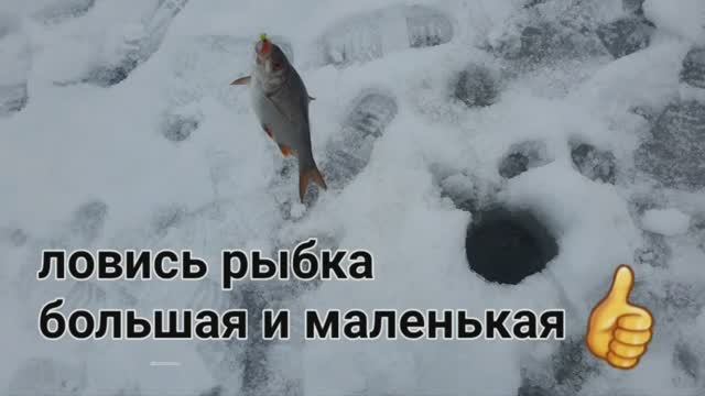 Зимняя рыбалка в Карелии. Ладожские шхеры.