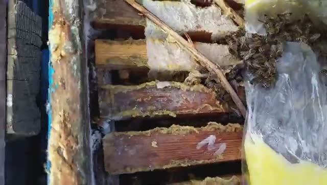 Февральский "Морозко". 16/02/2021