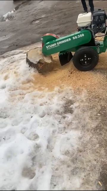 Новинка! Измельчитель пней Sable SG350 с функцией наклона двигателя