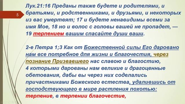 01. Кн. ИОВА ТЕРПЕНИЕ И ВЕРА СВЯТЫХ