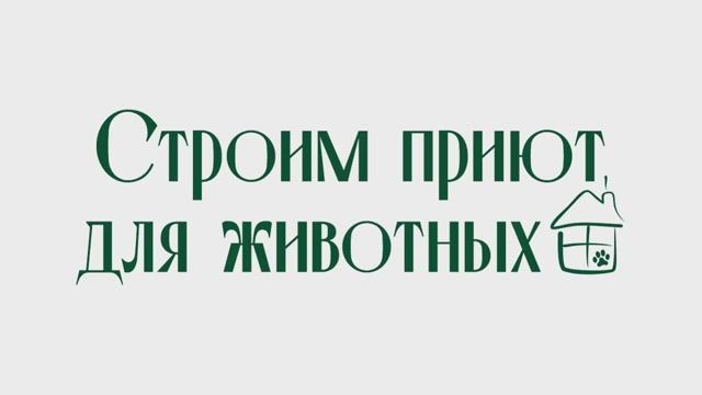 Строительство приюта для собак и кошек. Начало