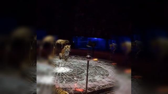 2018.04.21_Цирк на проспекте Вернадского, Царевна Несмеяна_0