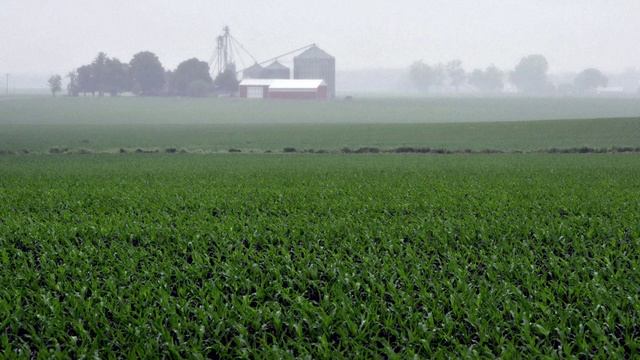 Вьетнам 9 серия «Братоубийство (май 1970 — март 1973)» (документальный сериал, 2017)