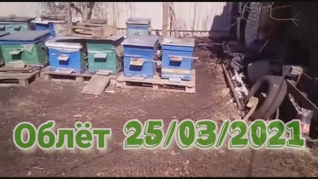 Облëт +8 в тени. 25/03/2021.