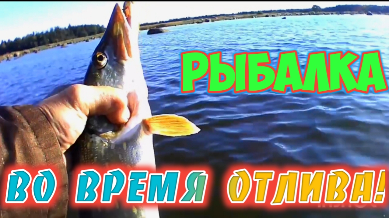 Ловим щуку в отлив