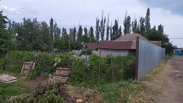 Зацвел виноград, огораживаемся, строим забор, обзор пасеки небольшой. 11/06/2020