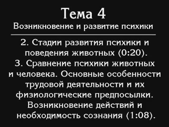 11 Психика животных