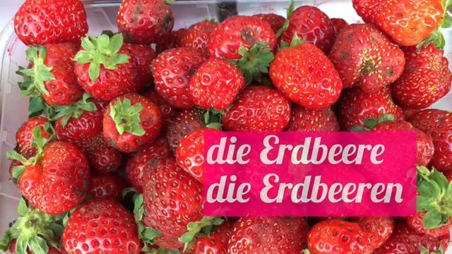Wortschatz ~ A1 ~ 13 ~ Essen