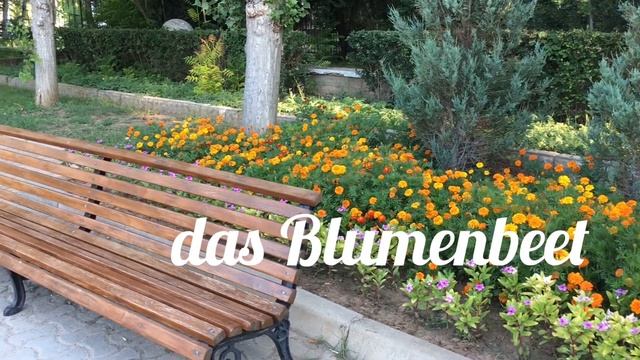 Wortschatz A1 ~ 25