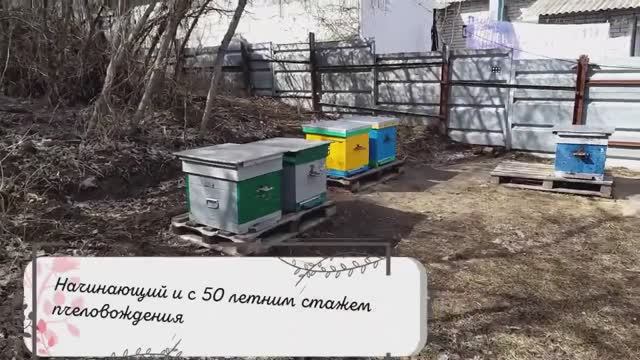 В гостях у соседей  Семена Тарасова - пчеловодов. Треллер. 05/04/2021.