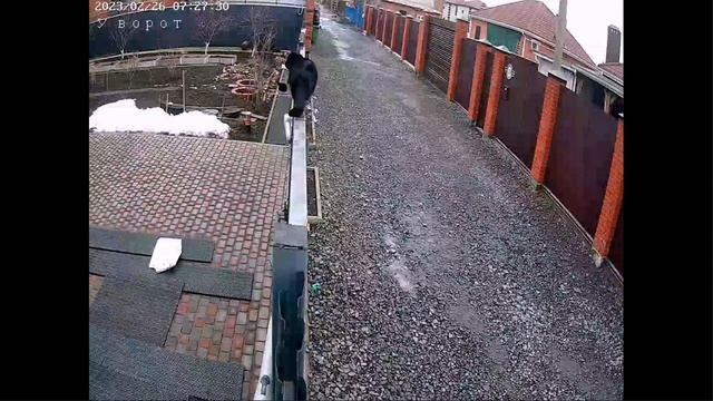 Прорыв периметра. Perimeter breach