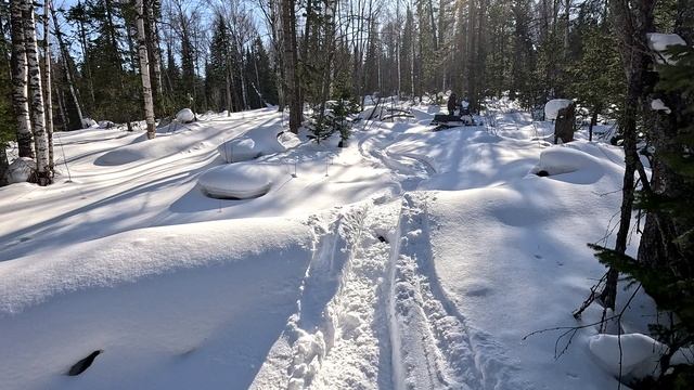 Горник + Буран